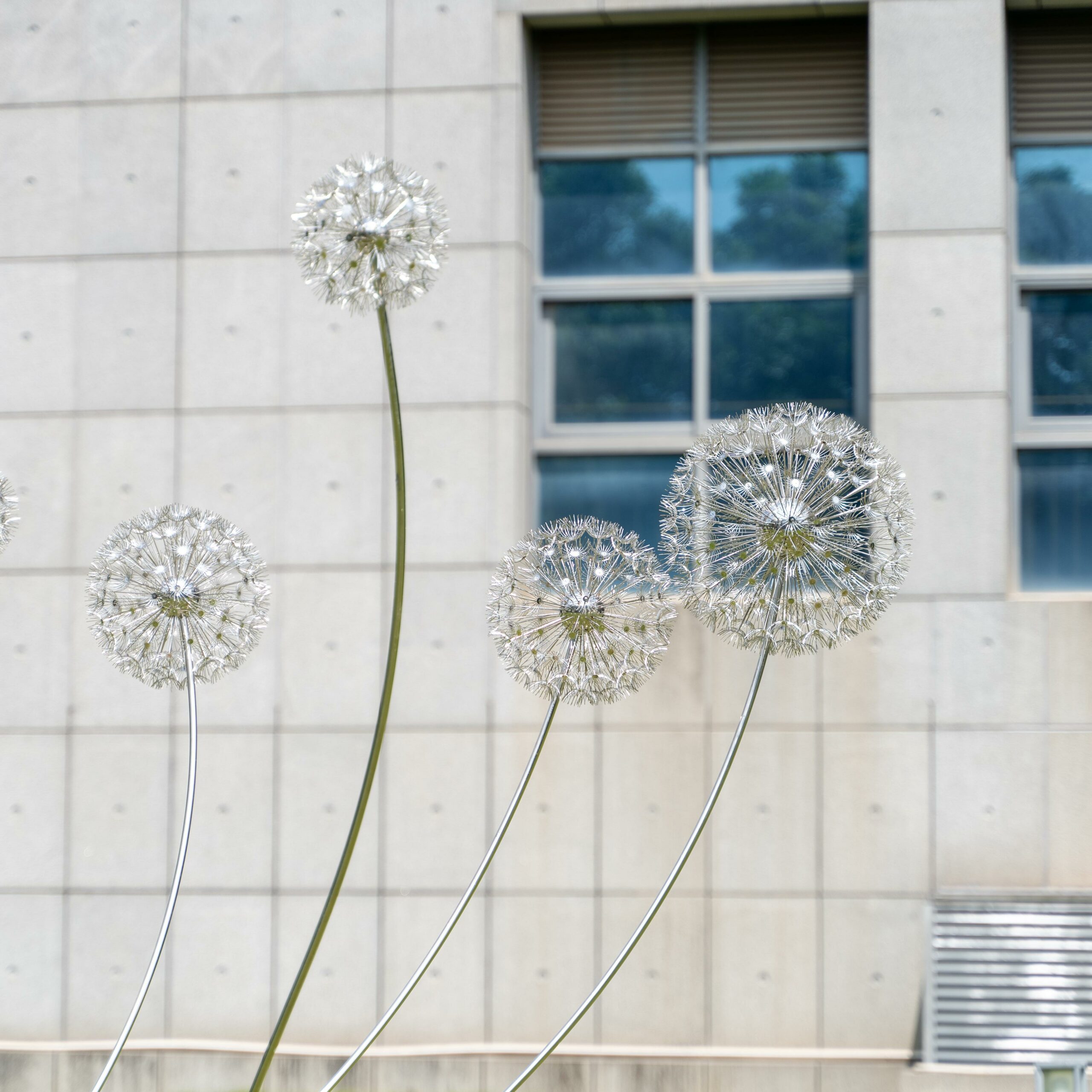 Dandelion Sculpture - Metal Sculpture Specialist